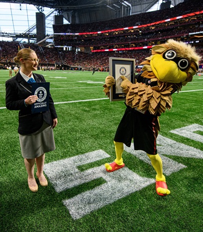 Atlanta Falcons | Guinness World Records