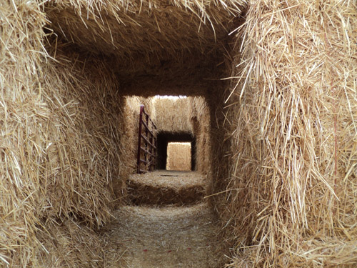Largest straw bale maze record set in Idaho | Guinness World Records