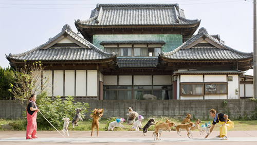 Largest collection of Daleks and most dogs skipping on a rope among ...