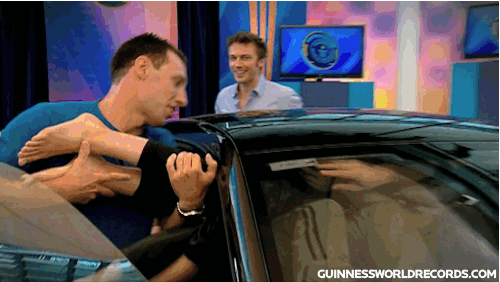 A GIF cornucopia on what to be most thankful for this Thanksgiving ...