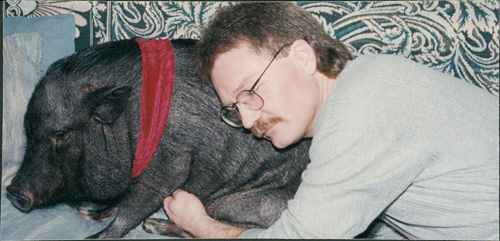 Meet Ernestine, the world's oldest pig | Guinness World Records