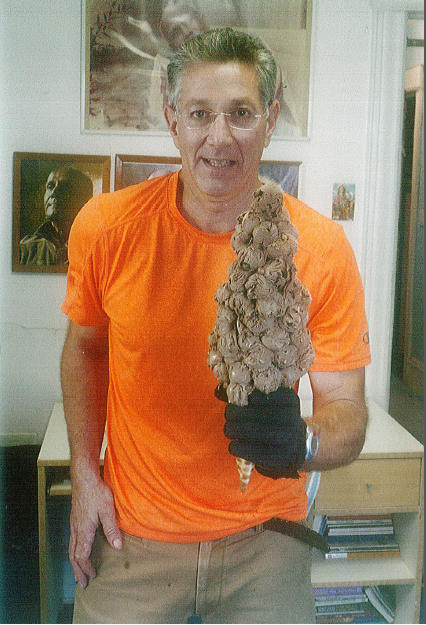 The ice cream cone turns 110, celebrate with these five record scoops ...