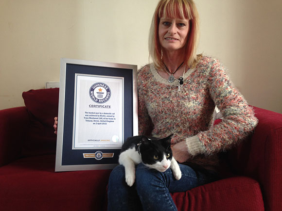 Rescue cat Merlin sets new world record for loudest purr | Guinness ...