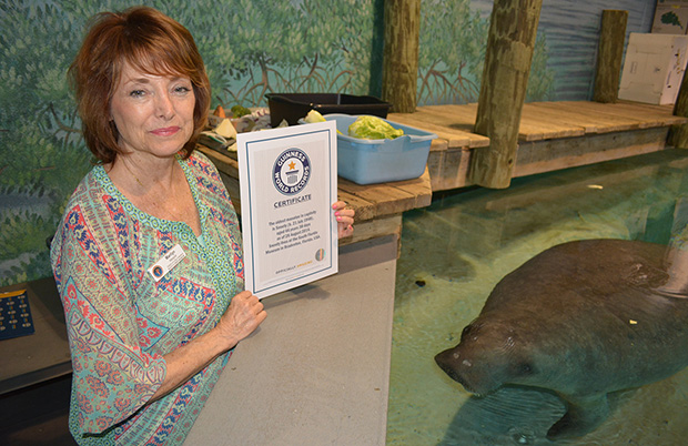 Happy 67th birthday to Snooty - the world's oldest living manatee ...