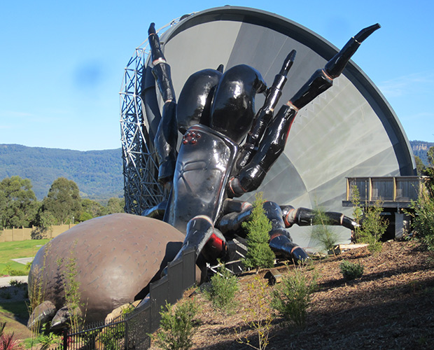 In pictures: Largest spider sculpture makes a big splash at Australian ...