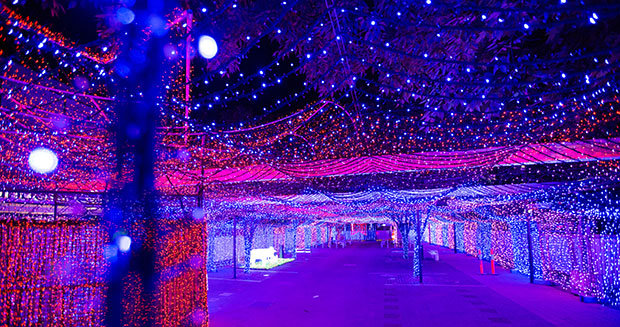 Chris Sheedy: Farewell to one of GWR’s most prolific adjudicators down ...