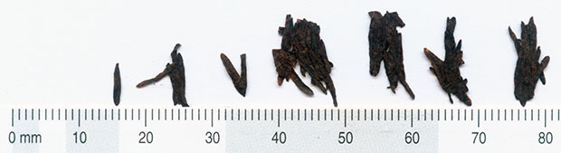 2,100 years old: Archaeologists discover world's oldest tea leaves in ...