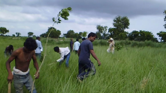 Volunteers in India plant over 50 million trees for huge ecological ...