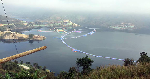 Chinese New Year: A round-up of recent Spring Festival-themed world ...