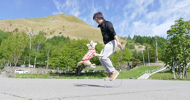 Record-breaking beagle dog returns with jaw-dropping attempt at ...