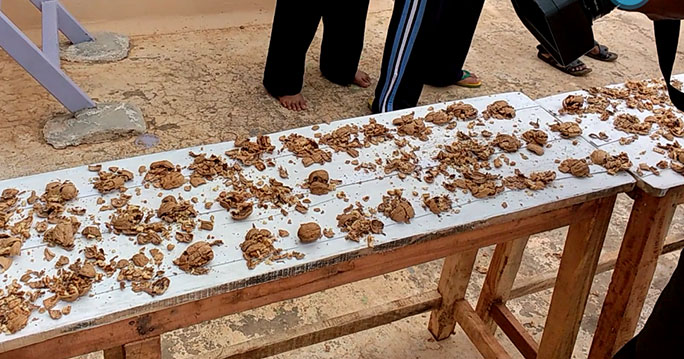 Martial arts master crushes 212 walnuts with his hand for world record ...