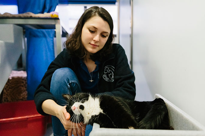 Video: Take a tour of the record-breaking pet shelter, Battersea Dogs ...