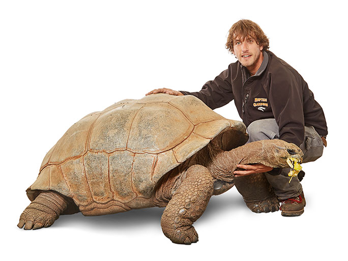 Video: Meet the snakes, tortoises and other animals at the largest ...