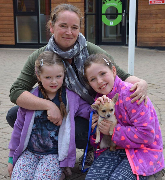 Video: Take a tour of the record-breaking pet shelter, Battersea Dogs ...