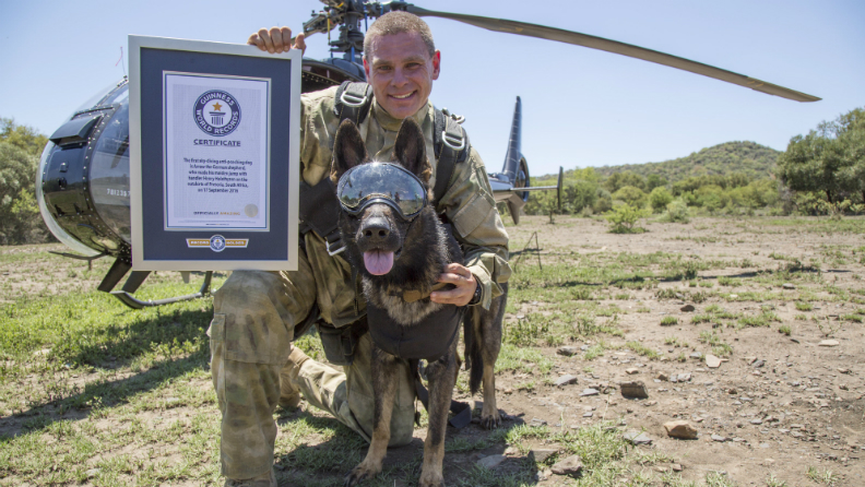 Monday Motivation: Arrow - the dog that skydives to save wildlife ...