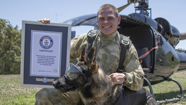 Monday Motivation: Arrow - the dog that skydives to save wildlife ...