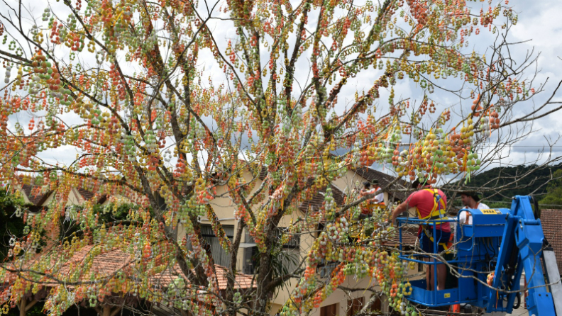 Ten egg-cellent records to get you in the Easter spirit | Guinness ...