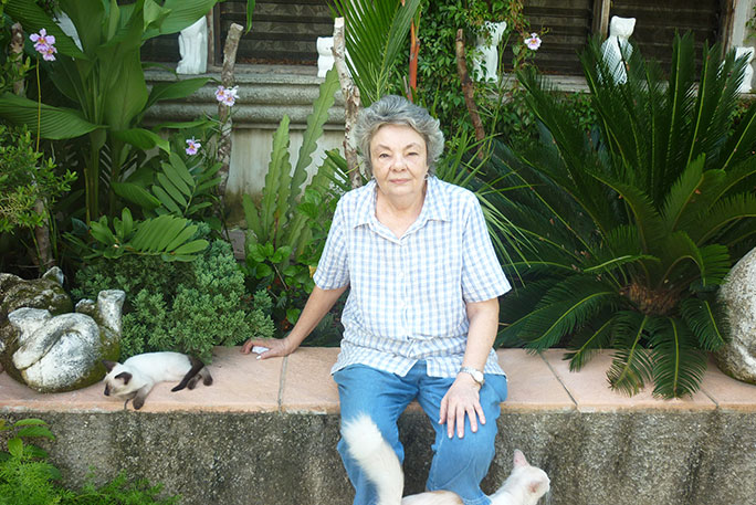 International Cat Day: A timeline of the world’s most fascinating ...