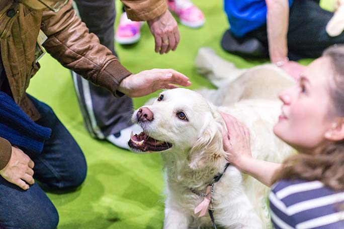 Meet record-breaking dogs and get 20% off your visit to the National ...
