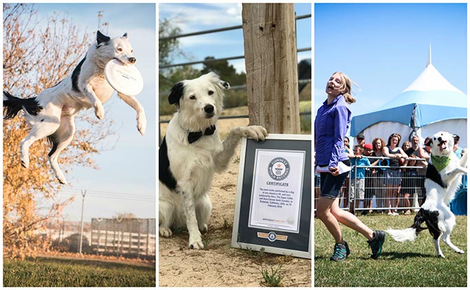 Fantastic beasts and the people that find them: 10 amazing animal ...