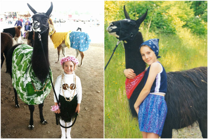 The world's oldest llama and his 'life of luxury' on a Washington farm ...