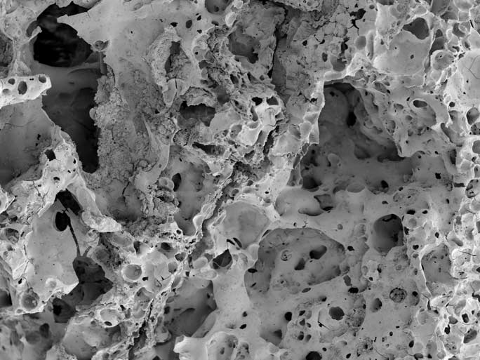 14,000-year-old bread found in Jordan | Guinness World Records