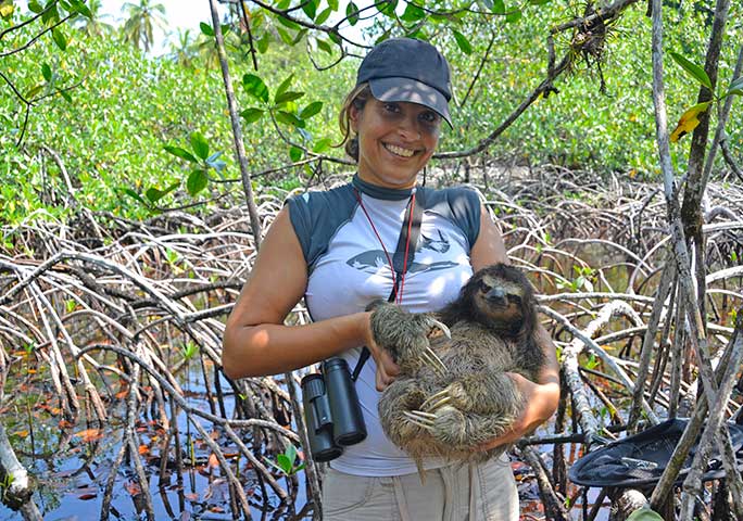 Slow and steady wins the race: introducing the world’s oldest sloth ...