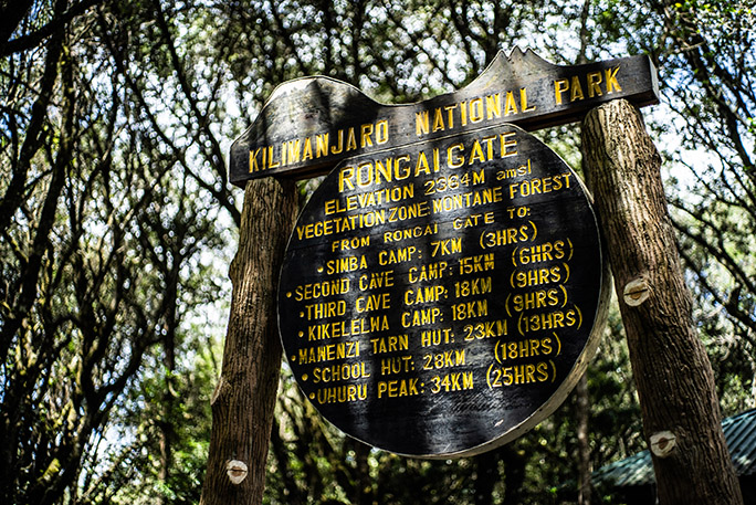 How Anne Lorimor climbed Mount Kilimanjaro at 89 | Guinness World Records