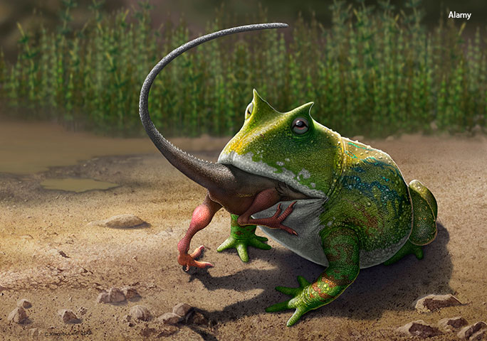 Five fantastic frog facts and records to mark World Frog Day | Guinness ...