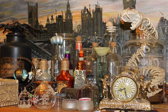 Harry Potter and Fantastic Beasts superfan has world's largest ...