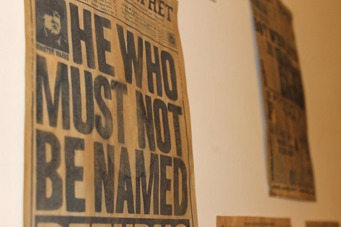 Harry Potter and Fantastic Beasts superfan has world's largest ...