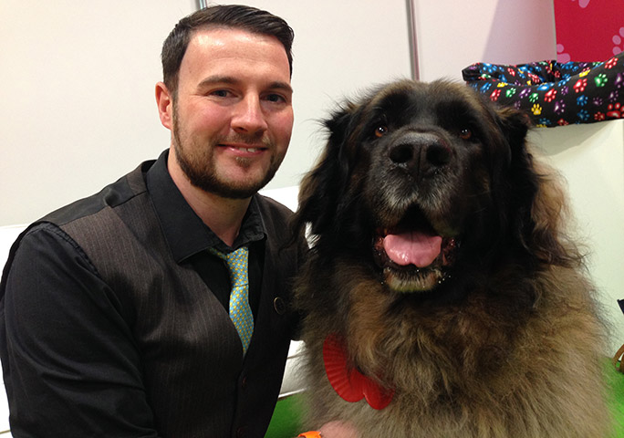 The talented dogs with superlative skills: could YOUR pooch's top trick ...