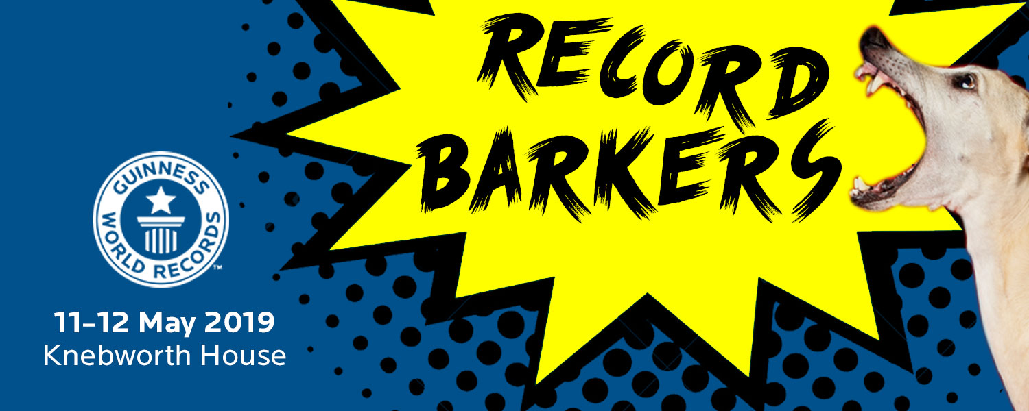 The talented dogs with superlative skills: could YOUR pooch's top trick ...