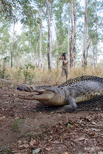 Bindi and Robert Irwin on wildlife conservation, animal encounters and ...