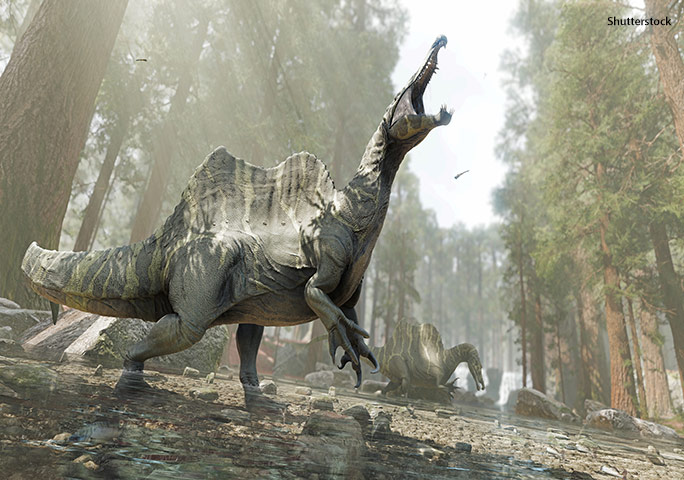 Scotty: the dinosaur skeleton which is a contender for the largest T ...