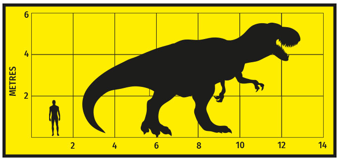 Scotty: the dinosaur skeleton which is a contender for the largest T ...