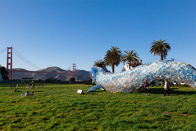 Life-size whale made of recycled plastic to 'educate people about ocean ...