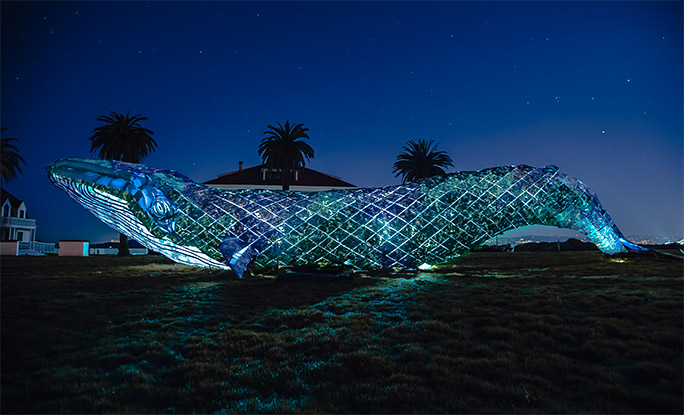 Life-size whale made of recycled plastic to 'educate people about ocean ...