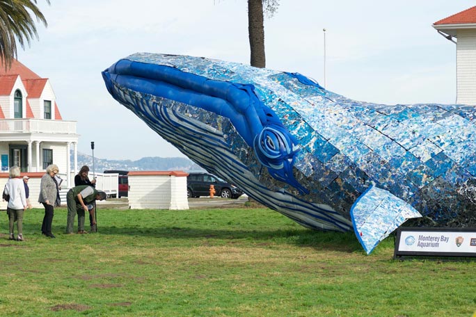 Life-size whale made of recycled plastic to 'educate people about ocean ...