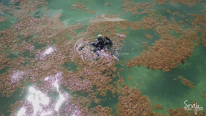 Hundreds of divers collect over 1,200 pounds of trash in largest ...