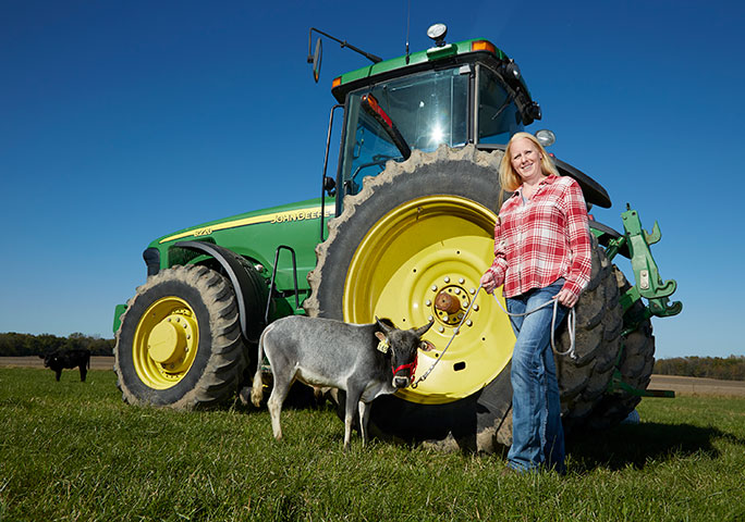 Humphrey - the world’s shortest bull who is only 67 cm tall | Guinness ...