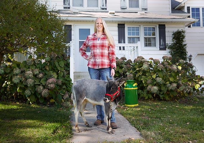 Humphrey - the world’s shortest bull who is only 67 cm tall | Guinness ...
