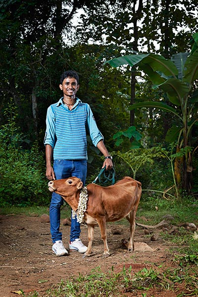 Humphrey - the world’s shortest bull who is only 67 cm tall | Guinness ...