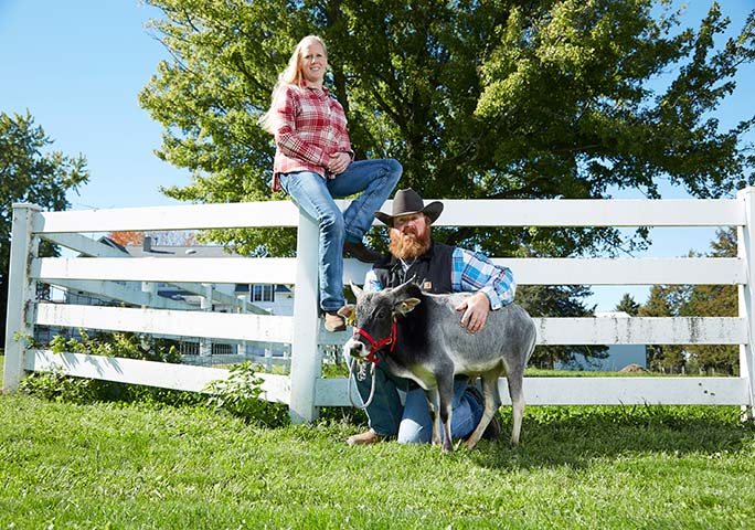 Meet the smallest horse in the world that's shorter than a greyhound ...