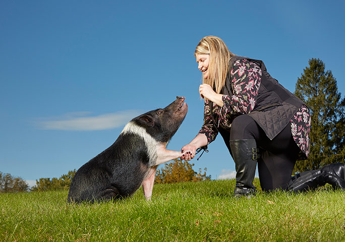 Multi-talented mini-pig hogs the limelight and brings joy to her ...