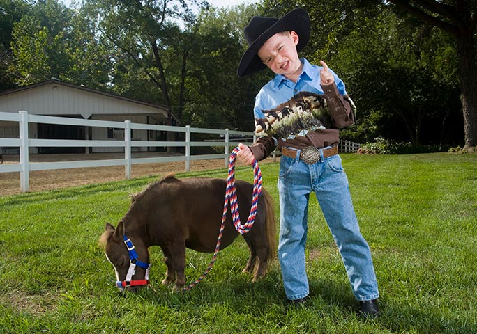 Meet the smallest horse in the world that's shorter than a greyhound ...