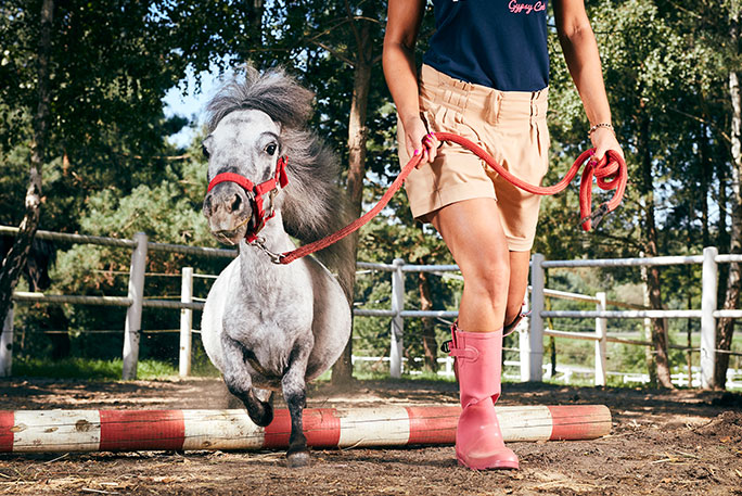 National Pet Day: 8 Adorable Pets Who Have Broken Records | Guinness ...