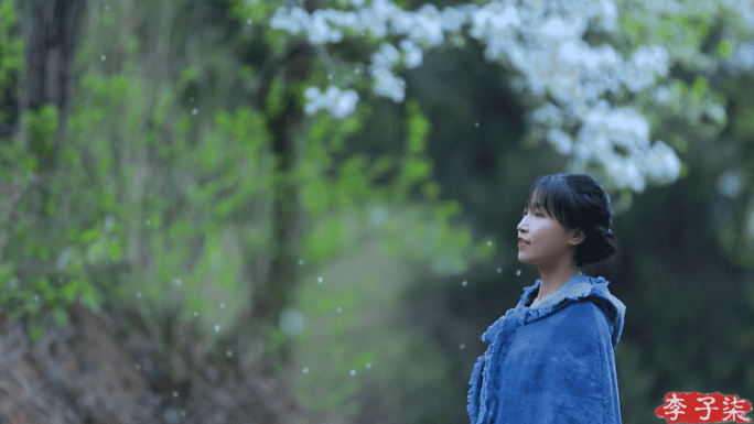 Li Ziqi breaks YouTube subscribers record for Chinese language channel ...