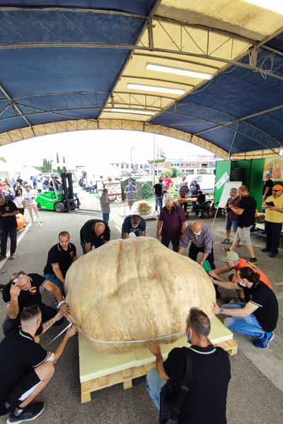 Monster pumpkin heavier than a small car breaks world record | Guinness ...