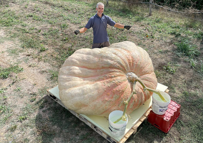 Monster pumpkin heavier than a small car breaks world record | Guinness ...